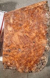 Sold* Alligator Juniper Burl | WoodBarter