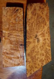 *sold*$Alligator juniper burl 3"×3" | WoodBarter