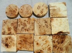 poplar burl pot call blanks | WoodBarter