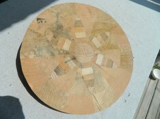 segmented plate | WoodBarter