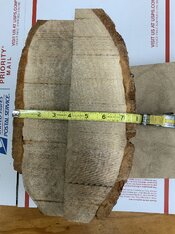 ENDED Spaghetti Oak | WoodBarter