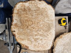 Black ash burl | WoodBarter