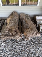 Old growth maple | WoodBarter